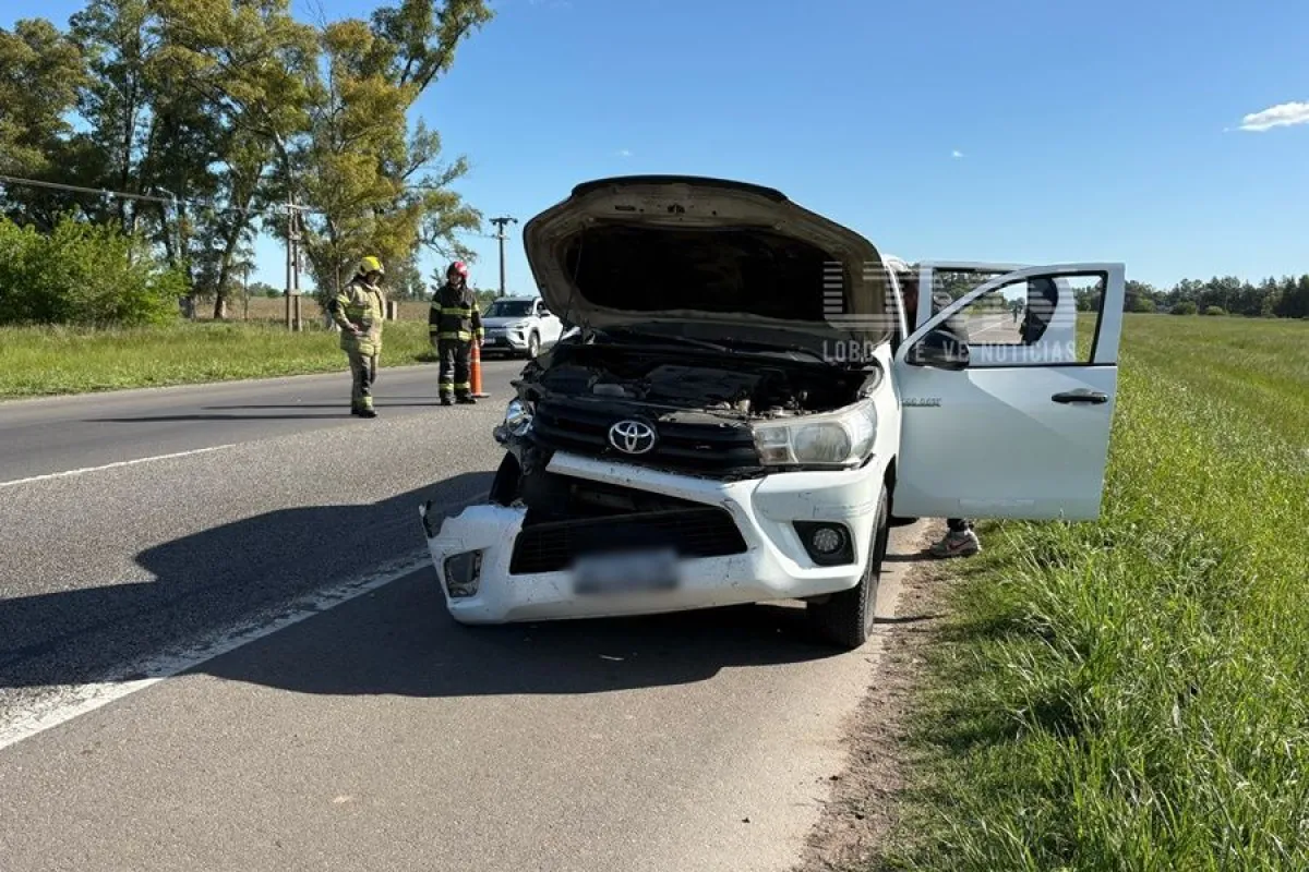Accidente fatal en la Ruta 205: un ciclista murió tras ser embestido ...